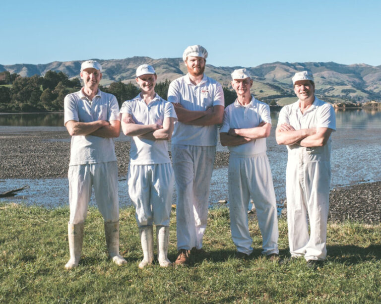 New Zealand Cheese Makers | Where to find NZ Cheese